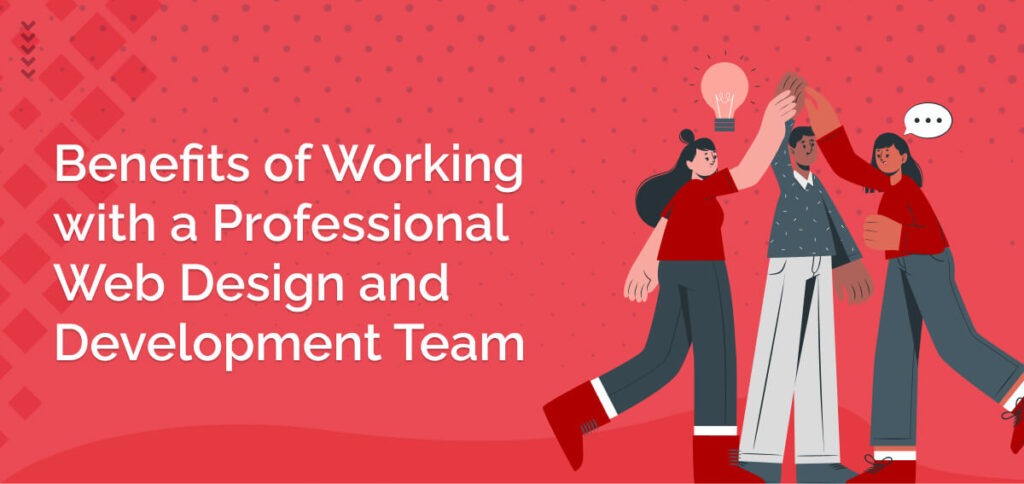 Working with a Professional Web Design and Development Team